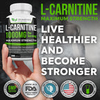acetyl l-carnitine for mental clarity