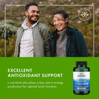 acetyl l-carnitine for mental clarity