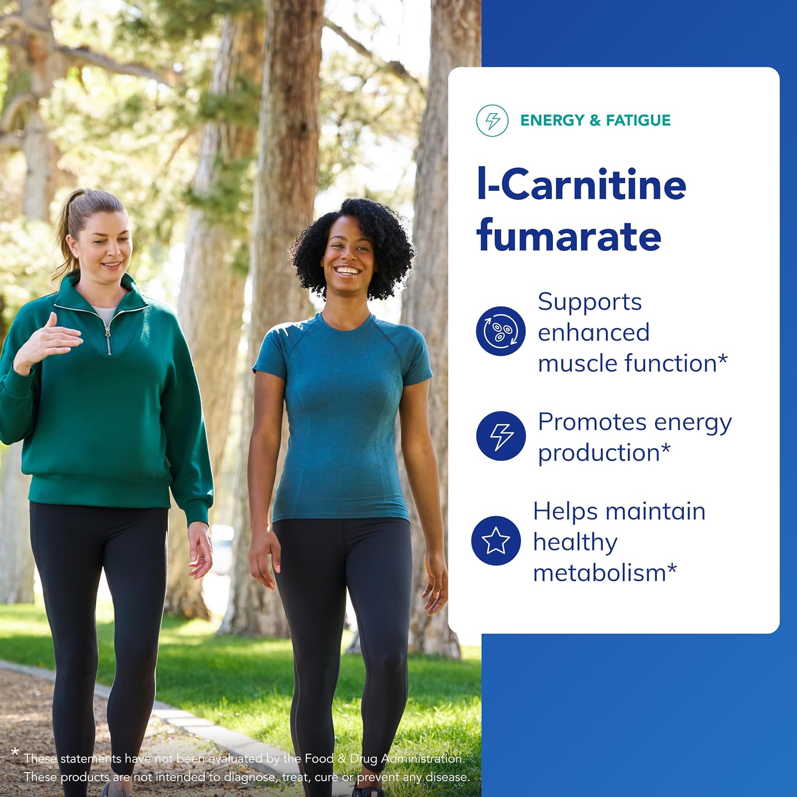 acetyl l-carnitine for weight management