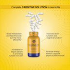 acetyl l-carnitine for weight management