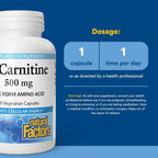 acetyl l-carnitine health benefits