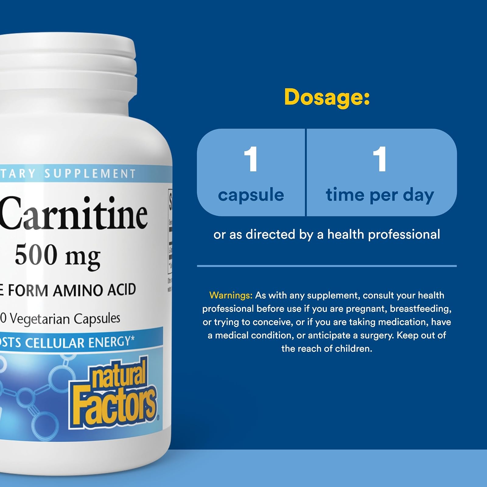 acetyl l-carnitine health benefits