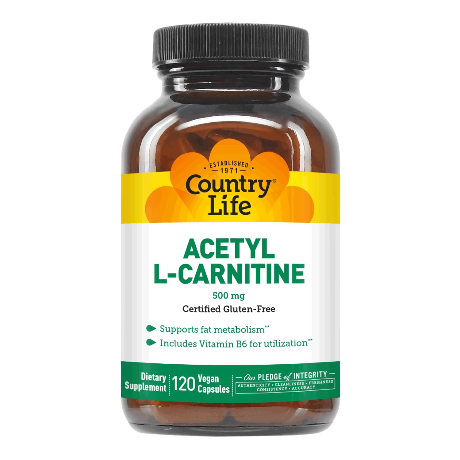 acetyl l-carnitine vegan capsules