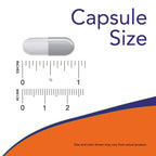 acetyl l-carnitine weight management