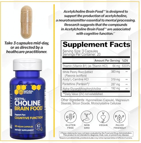 acetylcholine brain food memory booster