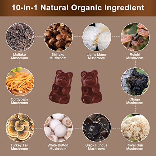 ACEYO gummies with Lions Mane benefits
