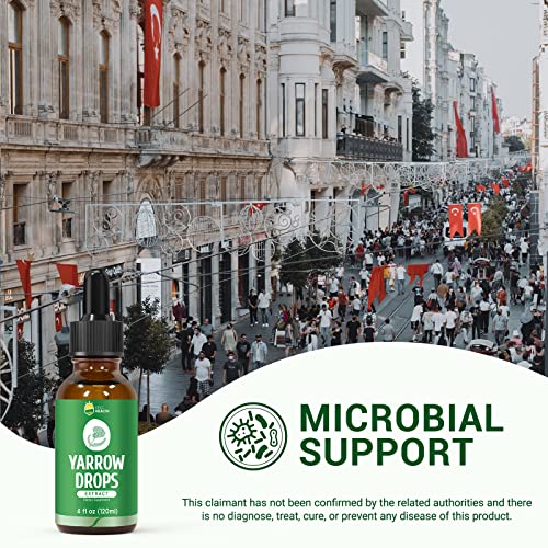 Achillea millefolium herbal extract
