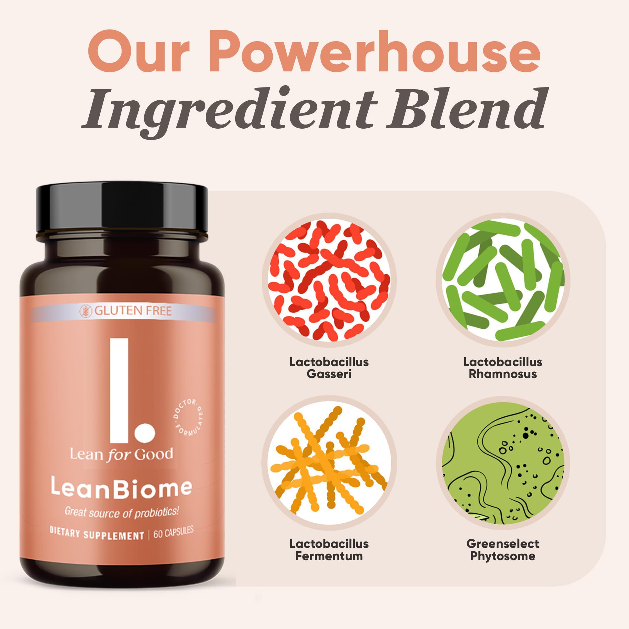 acidophilus supplement for overall wellness