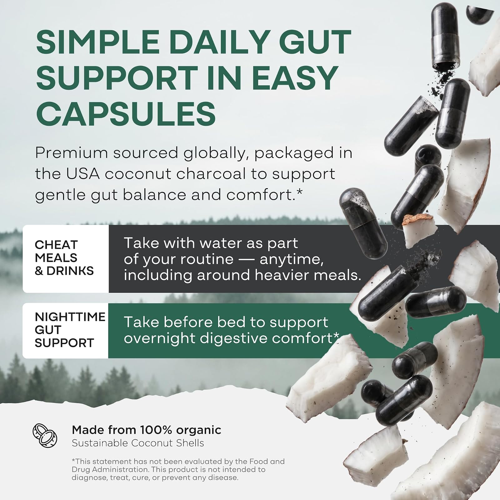 activated charcoal for detox support