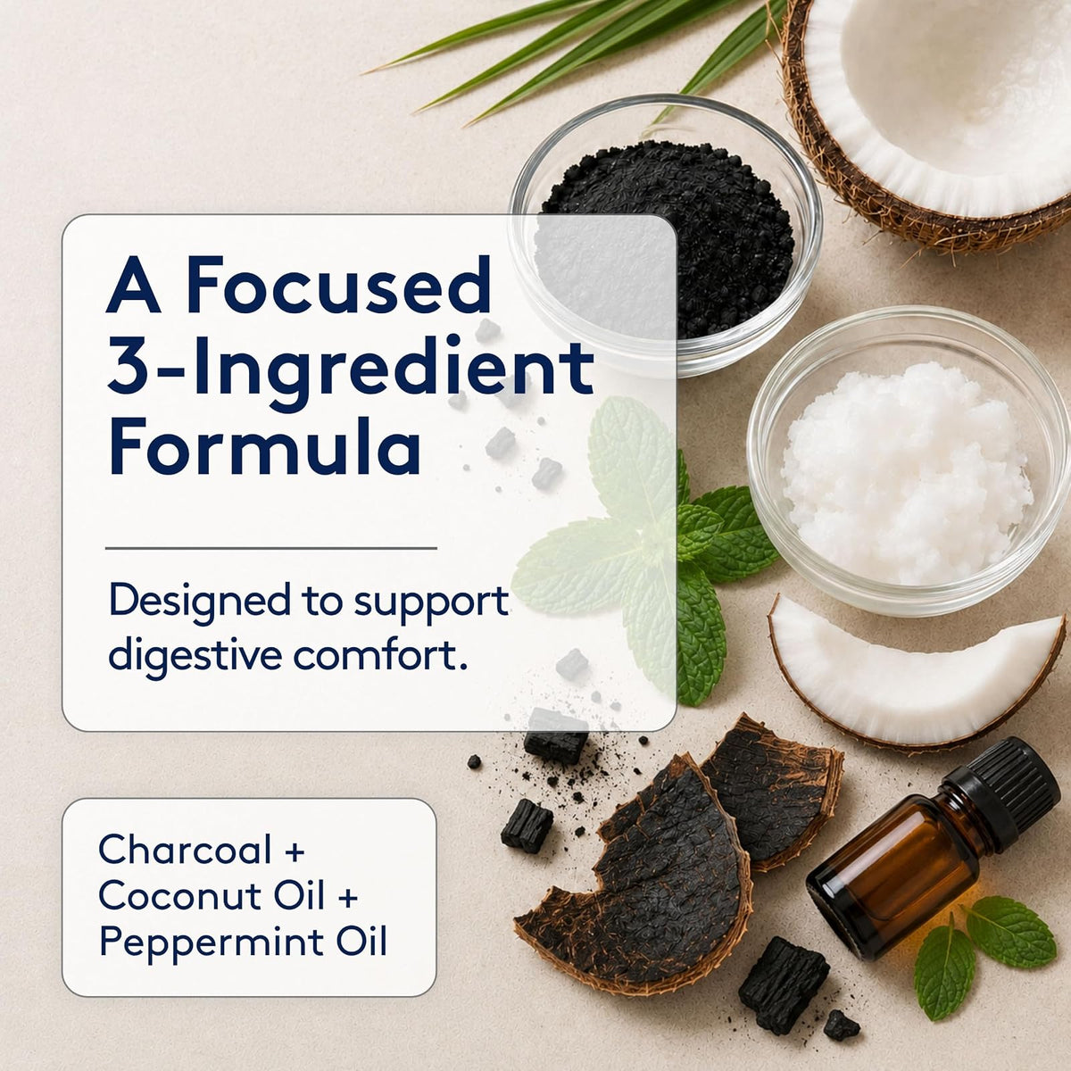 activated charcoal for gut health