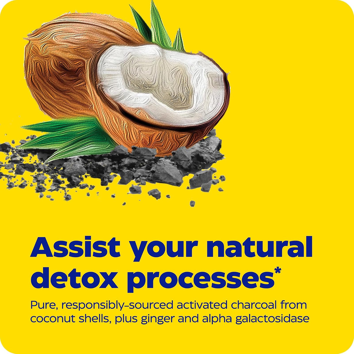 activated charcoal for gut health