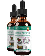 Active Adrenal Support Tincture benefits