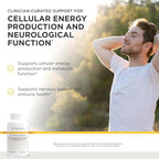 Active b-complex for energy support