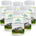 Active Hexose Correlated Compound supplement
