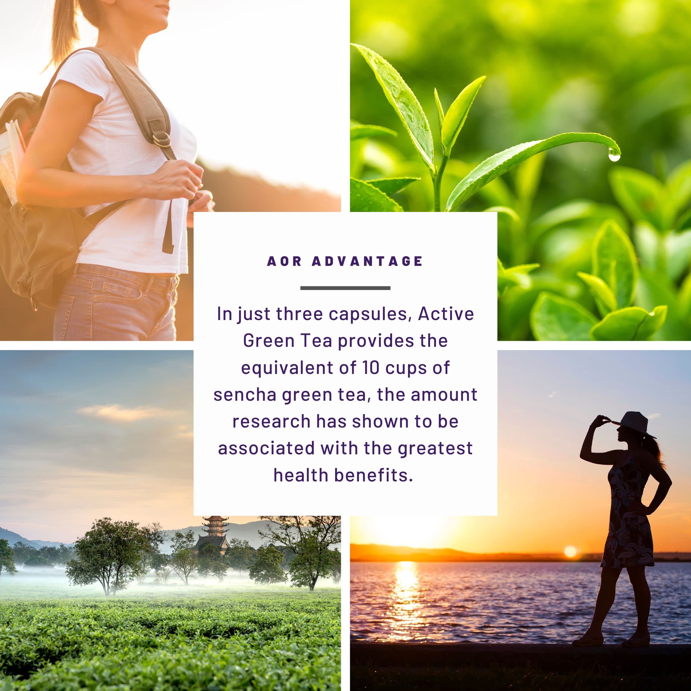 active lifestyle green tea benefits