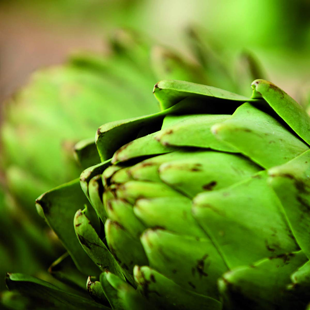 active liver support with milk thistle