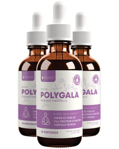 Active Polygala brain health support