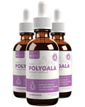 Active Polygala brain health support