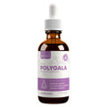 Active Polygala root extract benefits