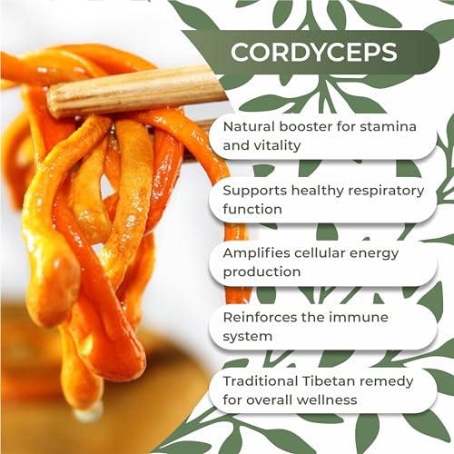 Adaptogen complex for daily support