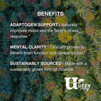 adaptogen for mental clarity Rhodiola