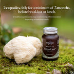 adaptogen for mental clarity