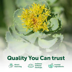 adaptogen for mental clarity