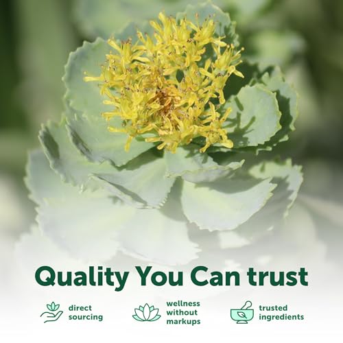 adaptogen for mental clarity