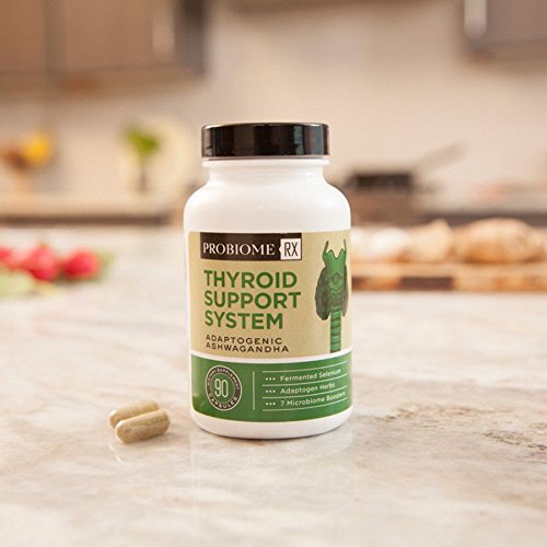 adaptogen herbs for balanced wellness support