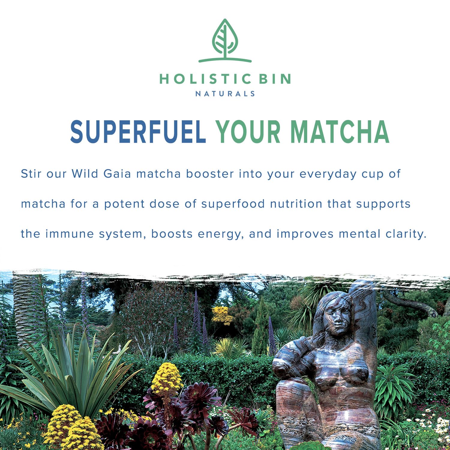 Adaptogen matcha with Lion's Mane