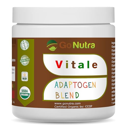 adaptogen mushroom smoothie booster