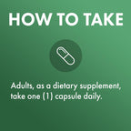 adaptogen rhodiola for mood support