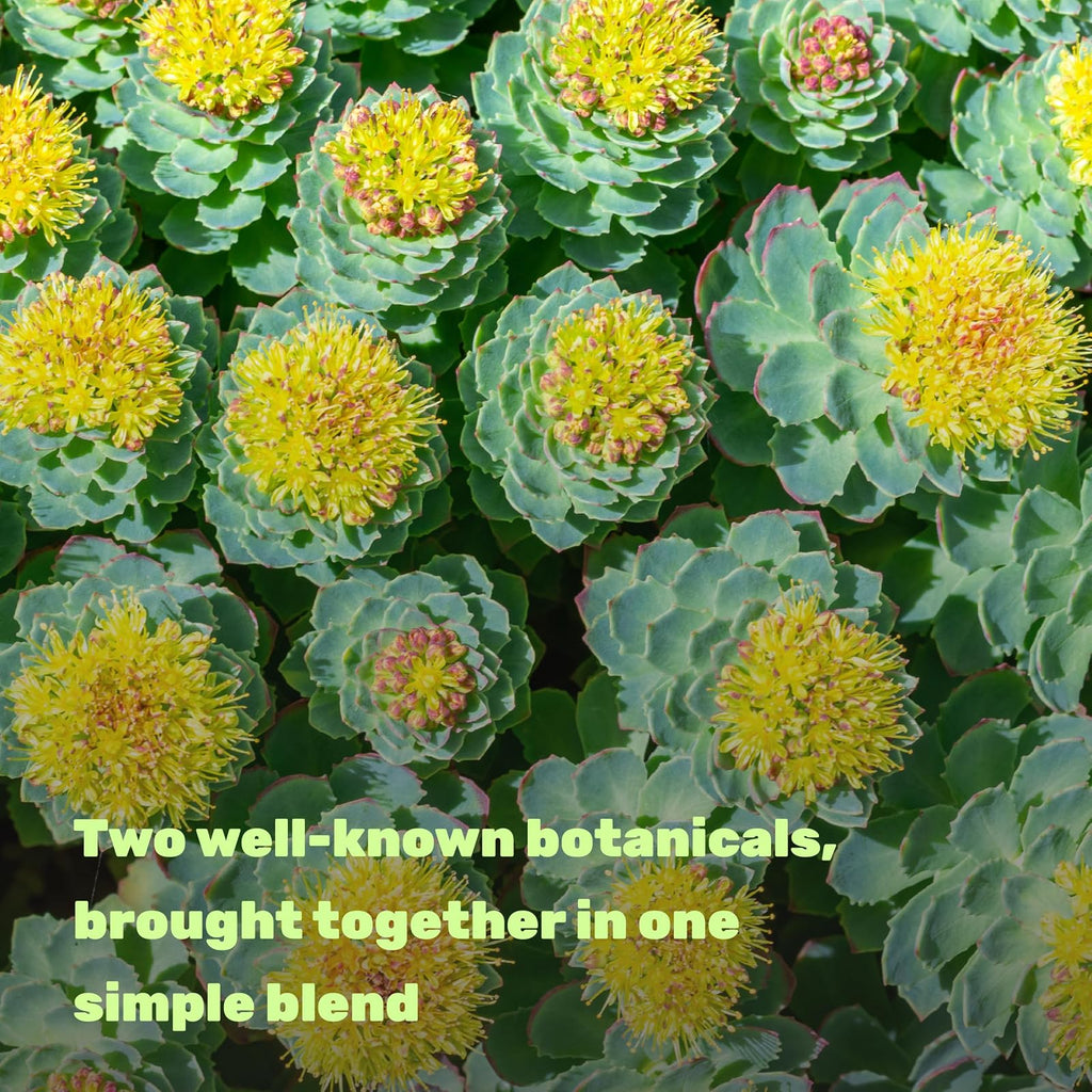 adaptogen supplement for daily wellness