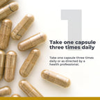 adaptogen support rhodiola capsules