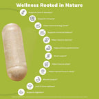 Adaptogenic Ashwagandha for wellness