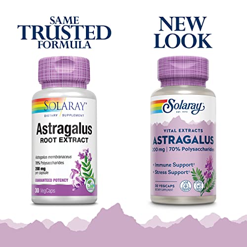 adaptogenic astragalus for wellness