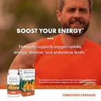 adaptogenic benefits of cordyceps