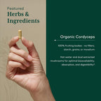 adaptogenic benefits of cordyceps