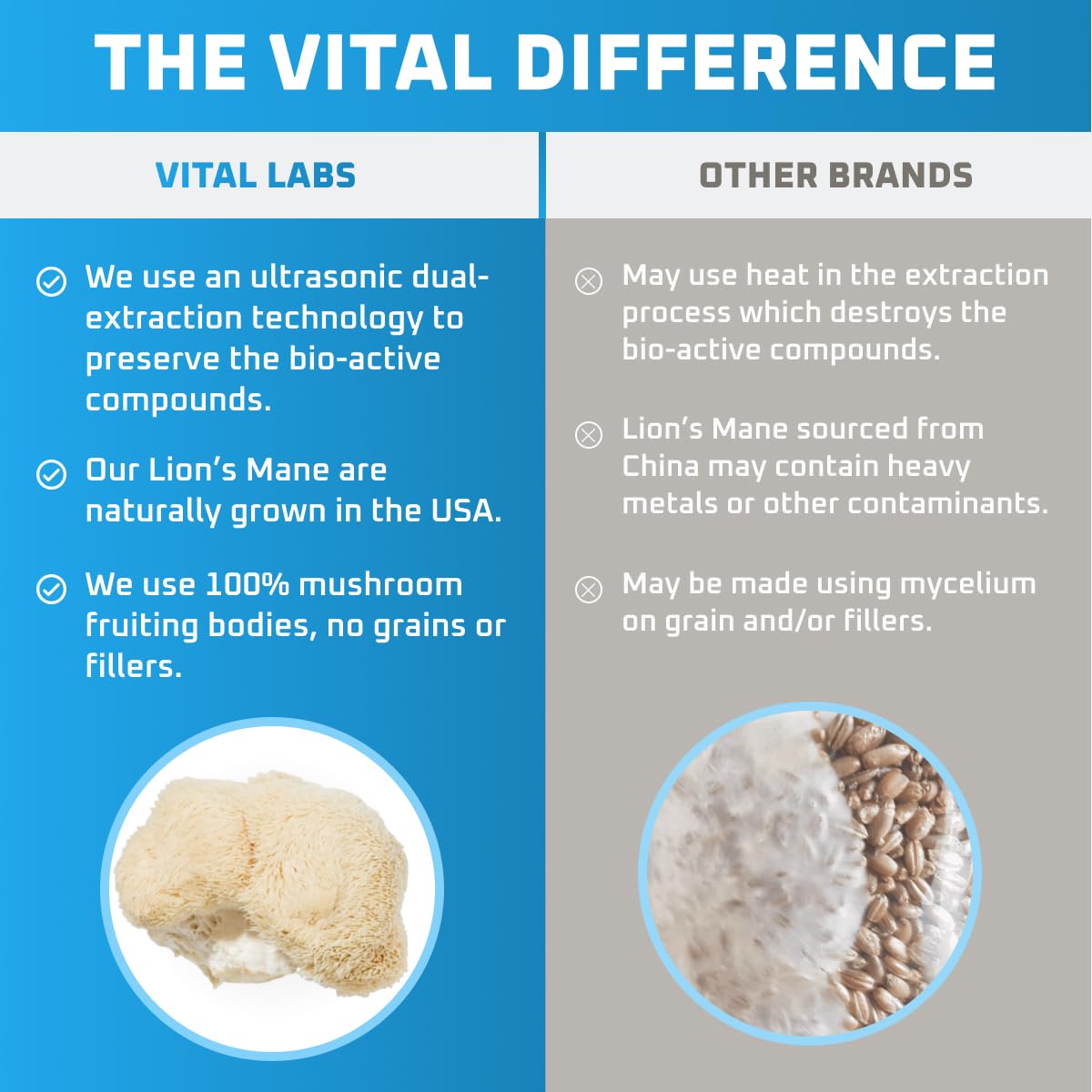 Adaptogenic benefits of Lion's Mane