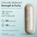 Adaptogenic benefits of Lion's Mane