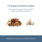 adaptogenic benefits of mushroom blend