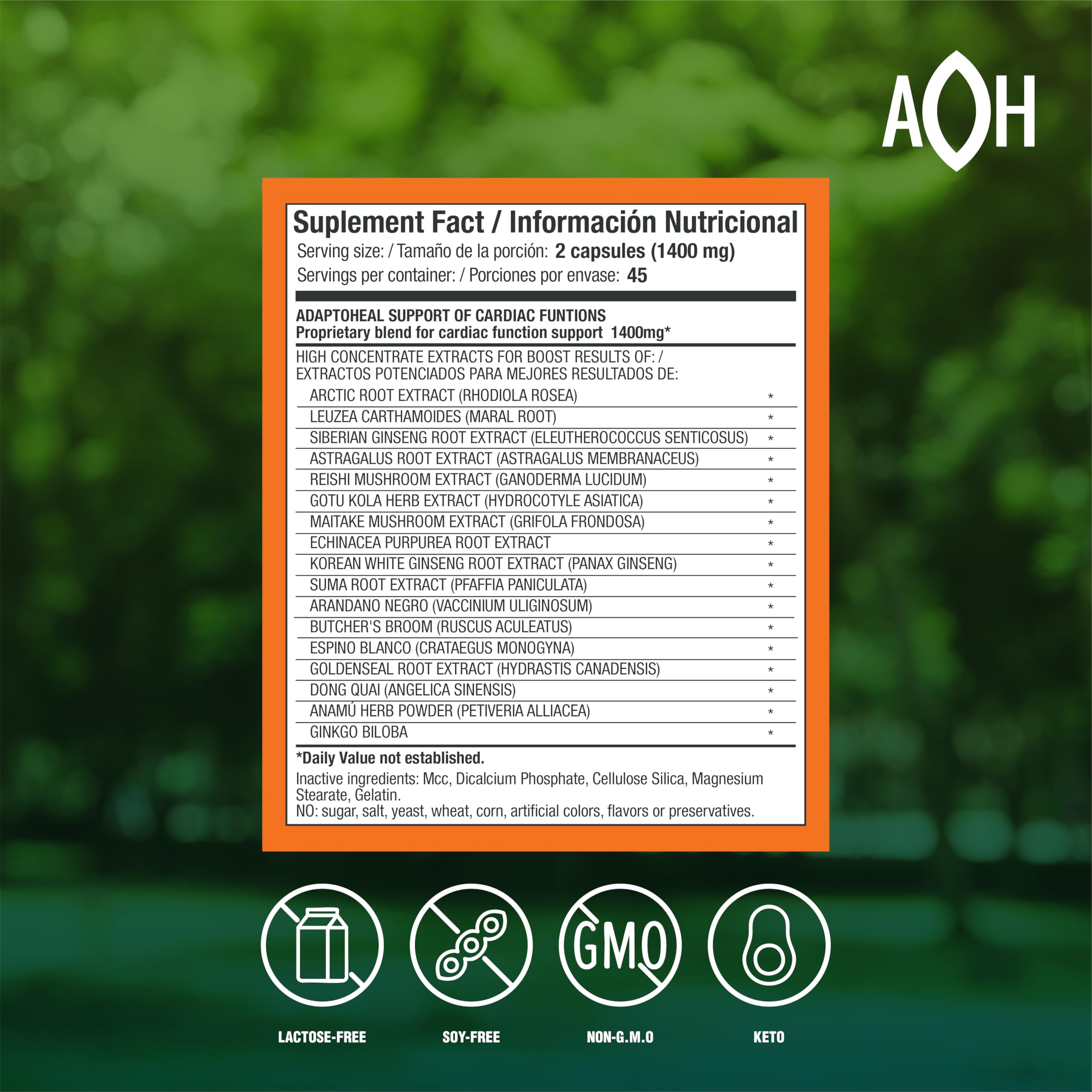 adaptogenic blend with ginkgo biloba