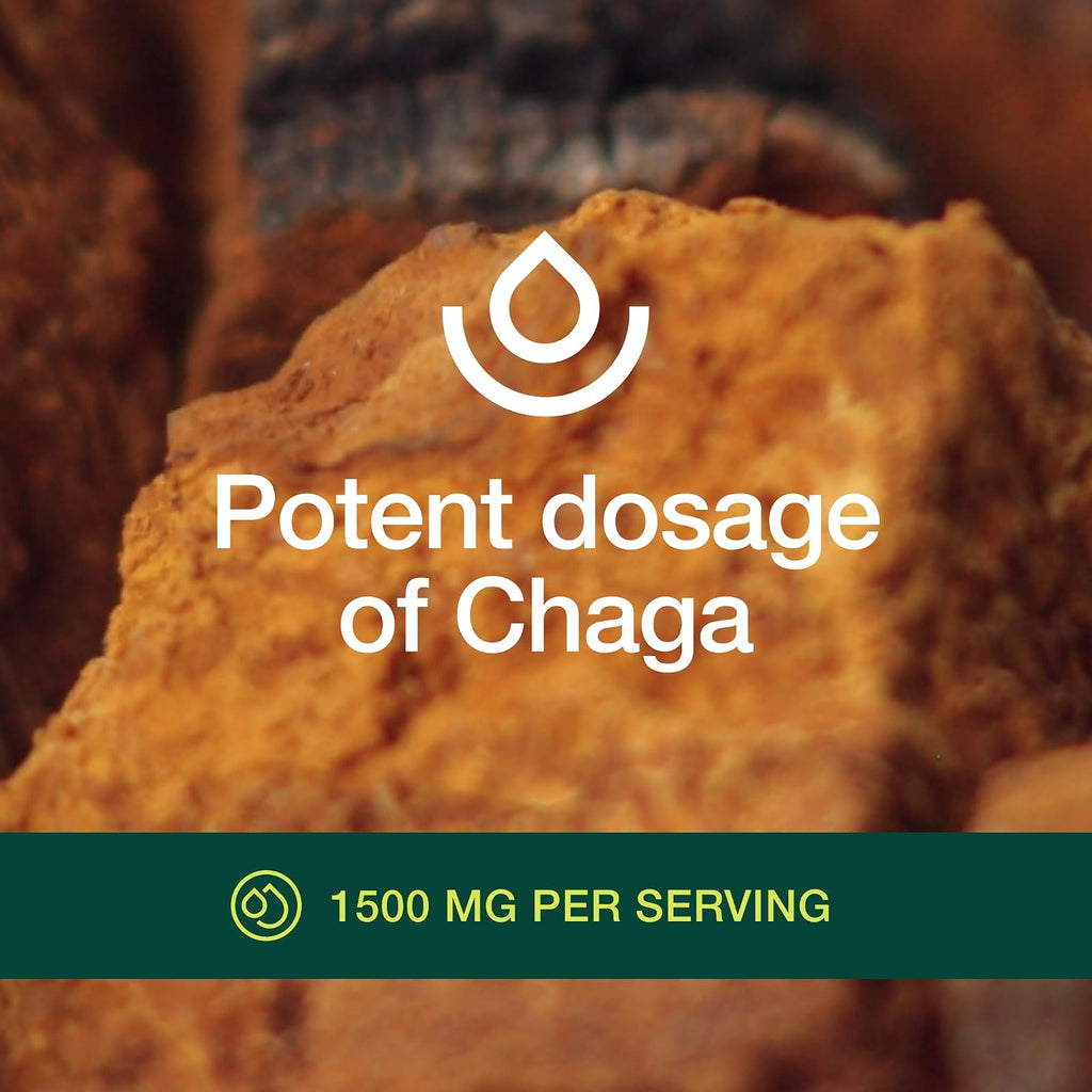 adaptogenic chaga for stress relief