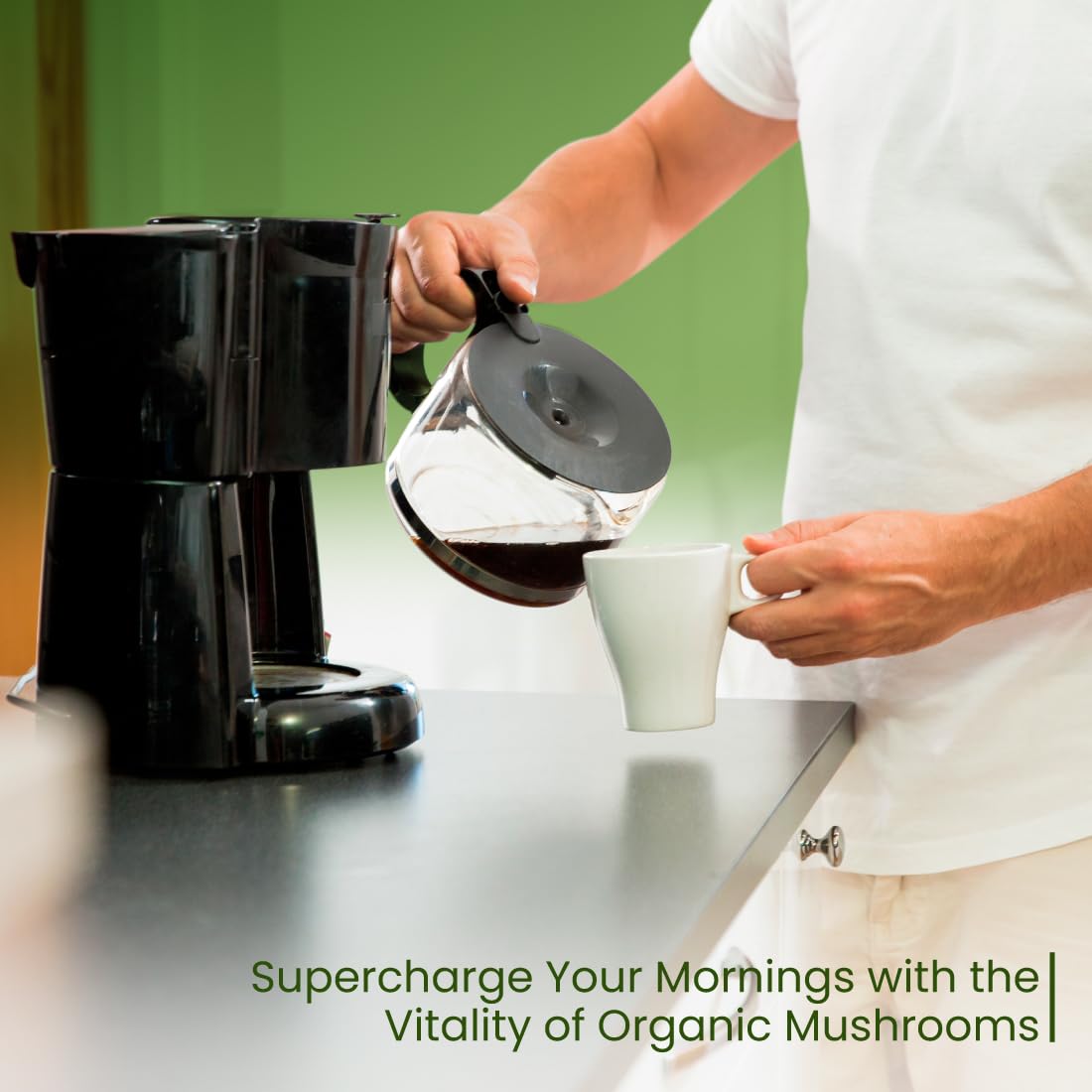 adaptogenic cordyceps extract for wellness