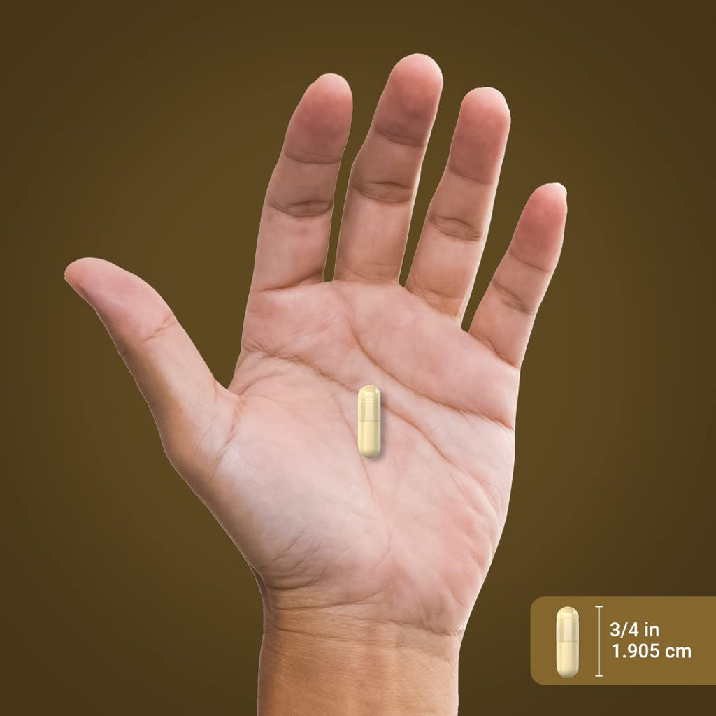 adaptogenic cordyceps mushroom supplement