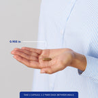 Adaptogenic Coriolus extract formula