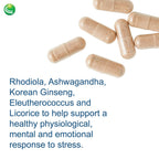 adaptogenic herbs for balanced wellness