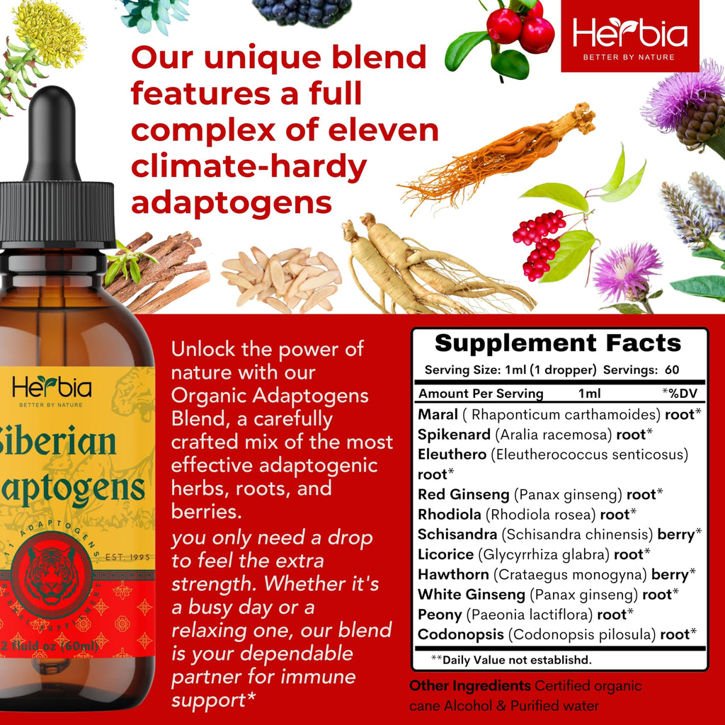 adaptogenic herbs for daily vitality