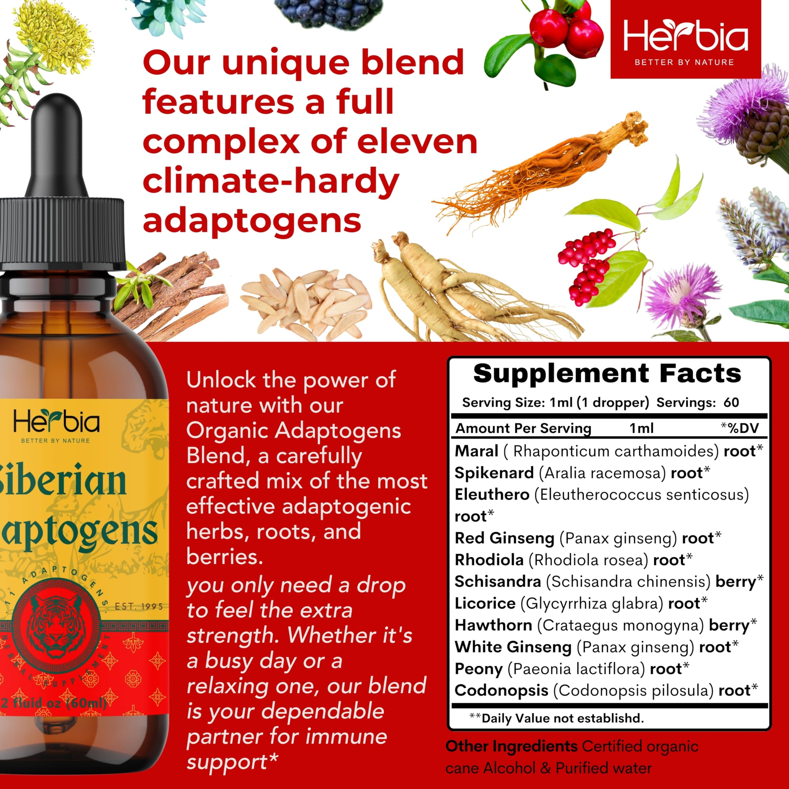 adaptogenic herbs for daily vitality