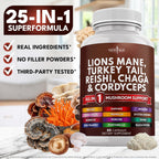 adaptogenic lion's mane benefits